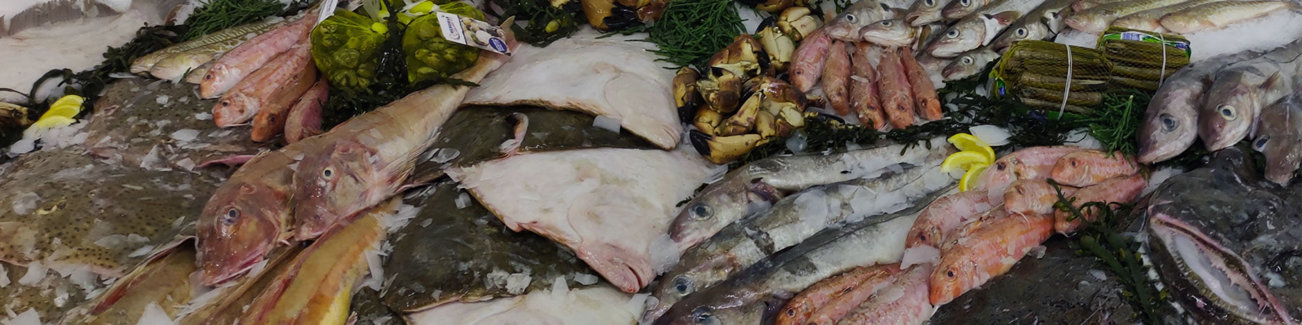 Visgroothandel Scheveningen Nederland - W.G. den Heijer & Zn b.v.